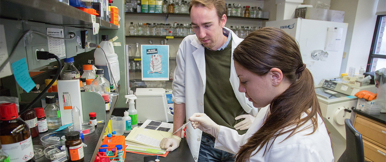 Population Health Precision Medicine